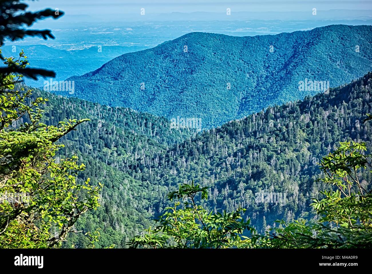 scenes along appalachian trail in great smoky mountains Stock Photo - Alamy