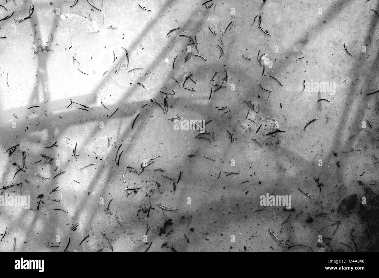 Growth in art Black and White Stock Photos & Images - Alamy