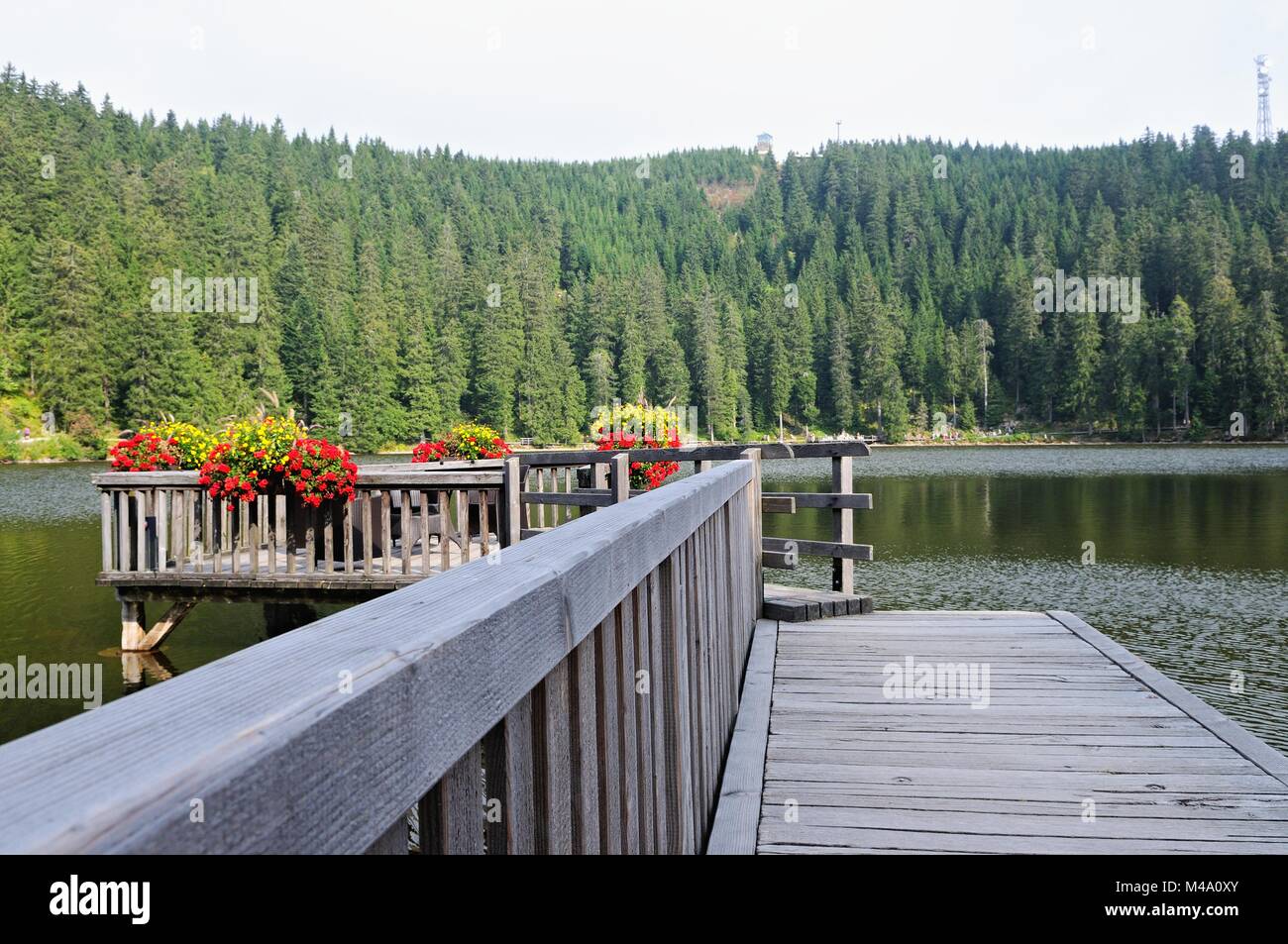 Welcome to the Lake Mummelsee Black Forest Germany Stock Photo - Alamy