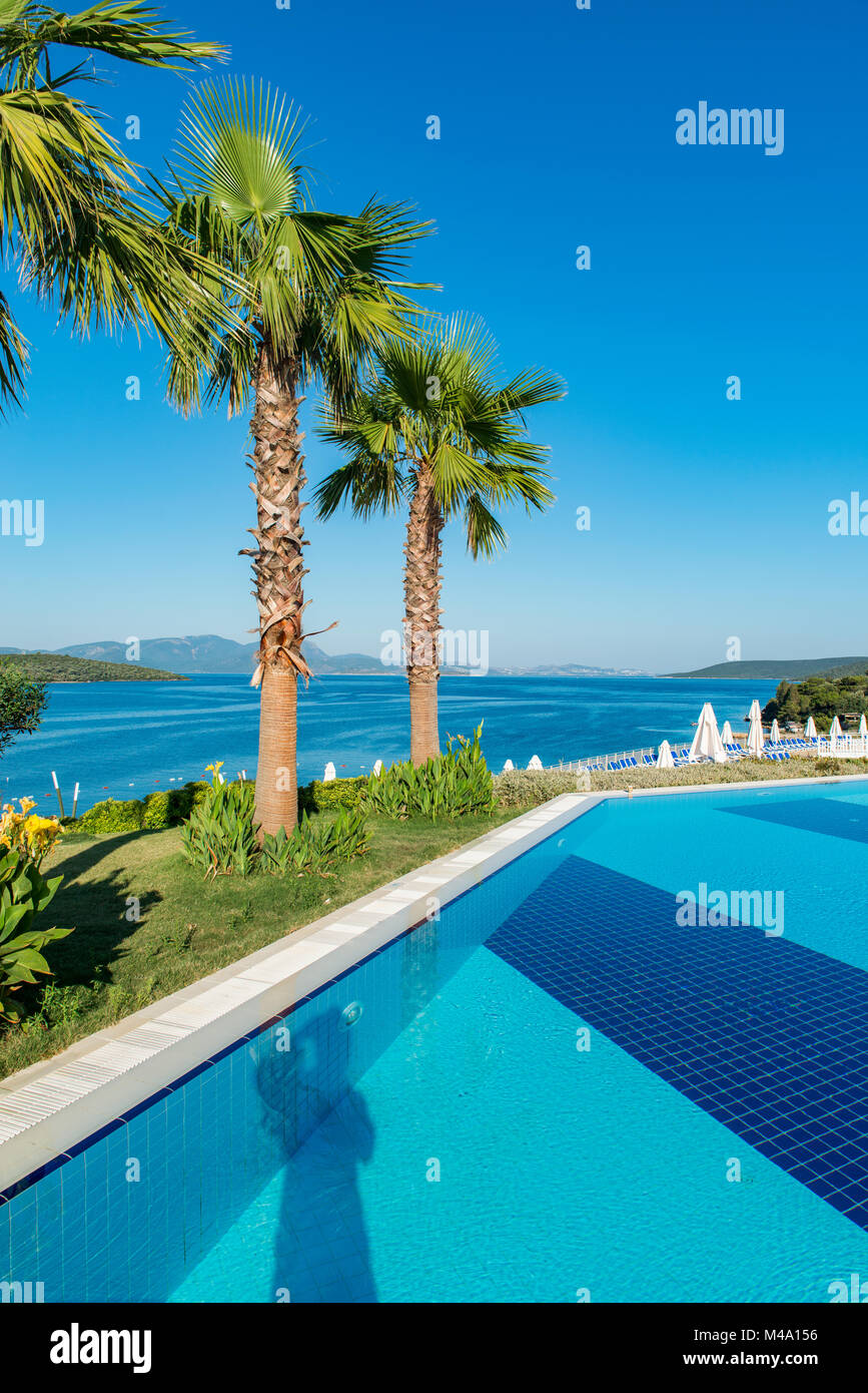 Nice swimming pool outdoors on bright summer day Stock Photo - Alamy