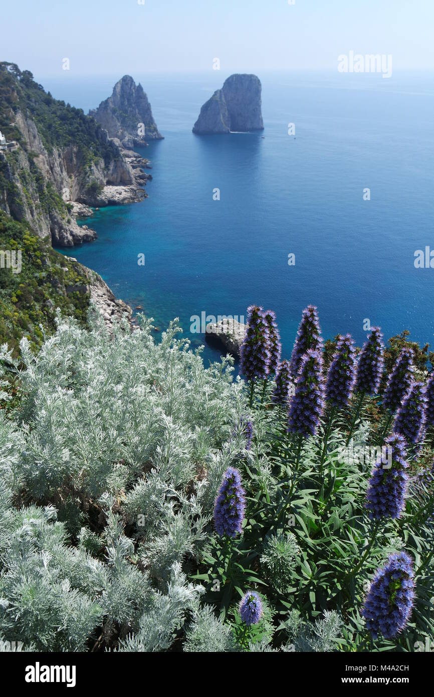 Spring in Capri Stock Photo - Alamy