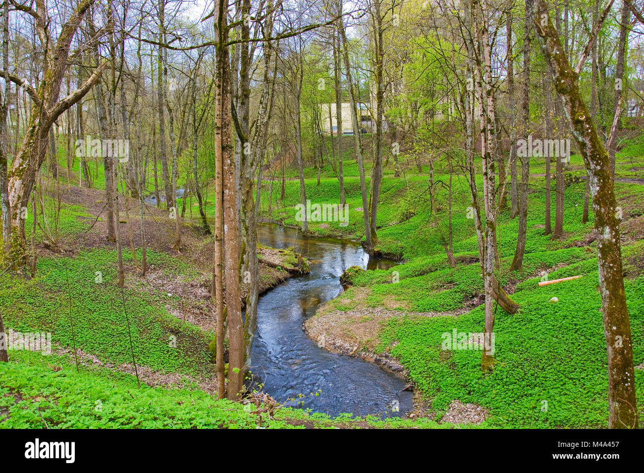 Stream with trees and grass hi-res stock photography and images - Alamy