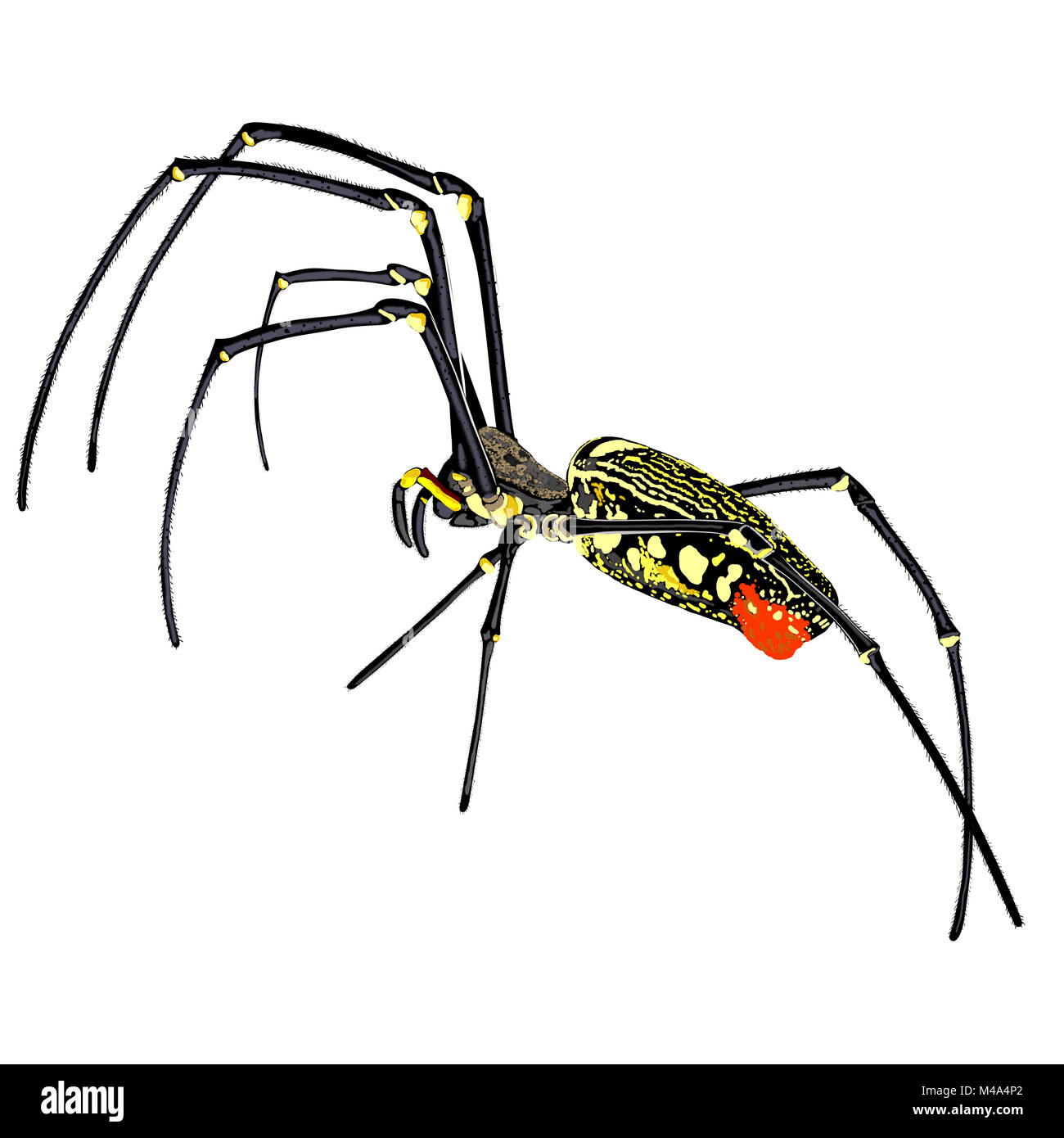 Spots tropical hi-res stock photography and images - Alamy