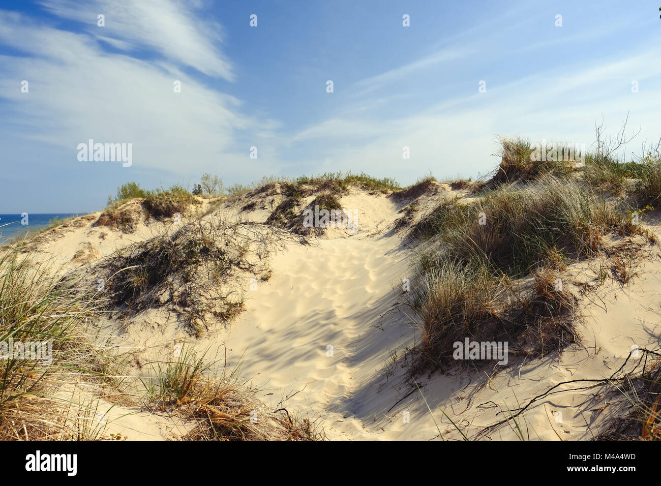 Little Sable Point Dunes Stock Photo - Alamy