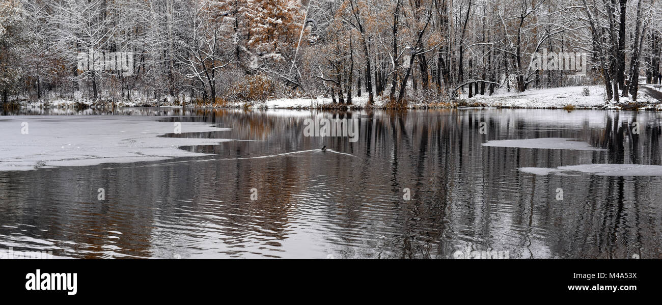 Gloomy autumn hi-res stock photography and images - Alamy