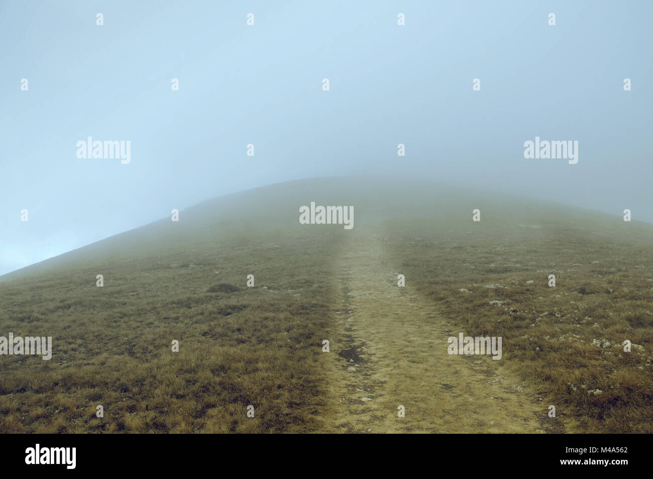 Lost the way hi-res stock photography and images - Alamy
