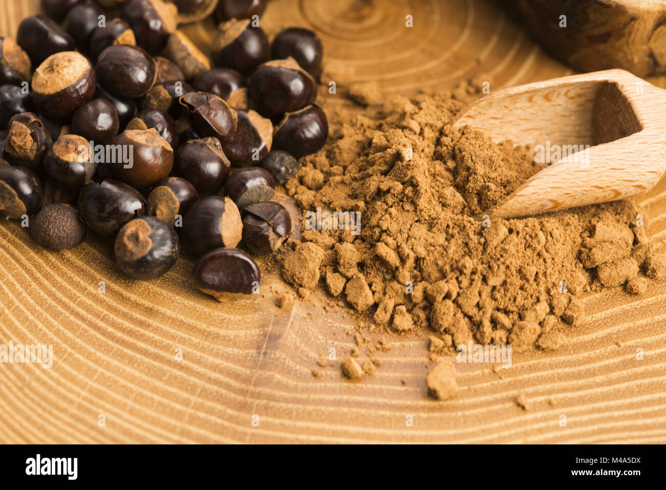 Guarana seeds and powder Stock Photo - Alamy