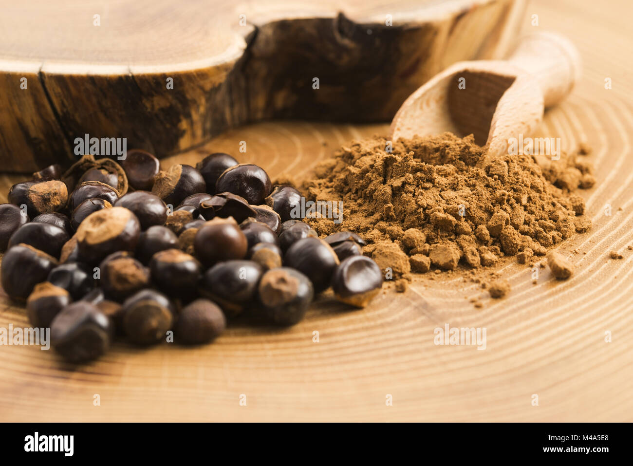 Guarana seeds and powder Stock Photo - Alamy