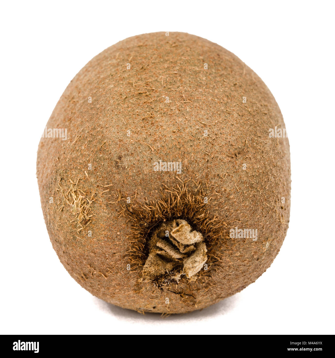 One kiwi fruit, isolated on white background Stock Photo - Alamy