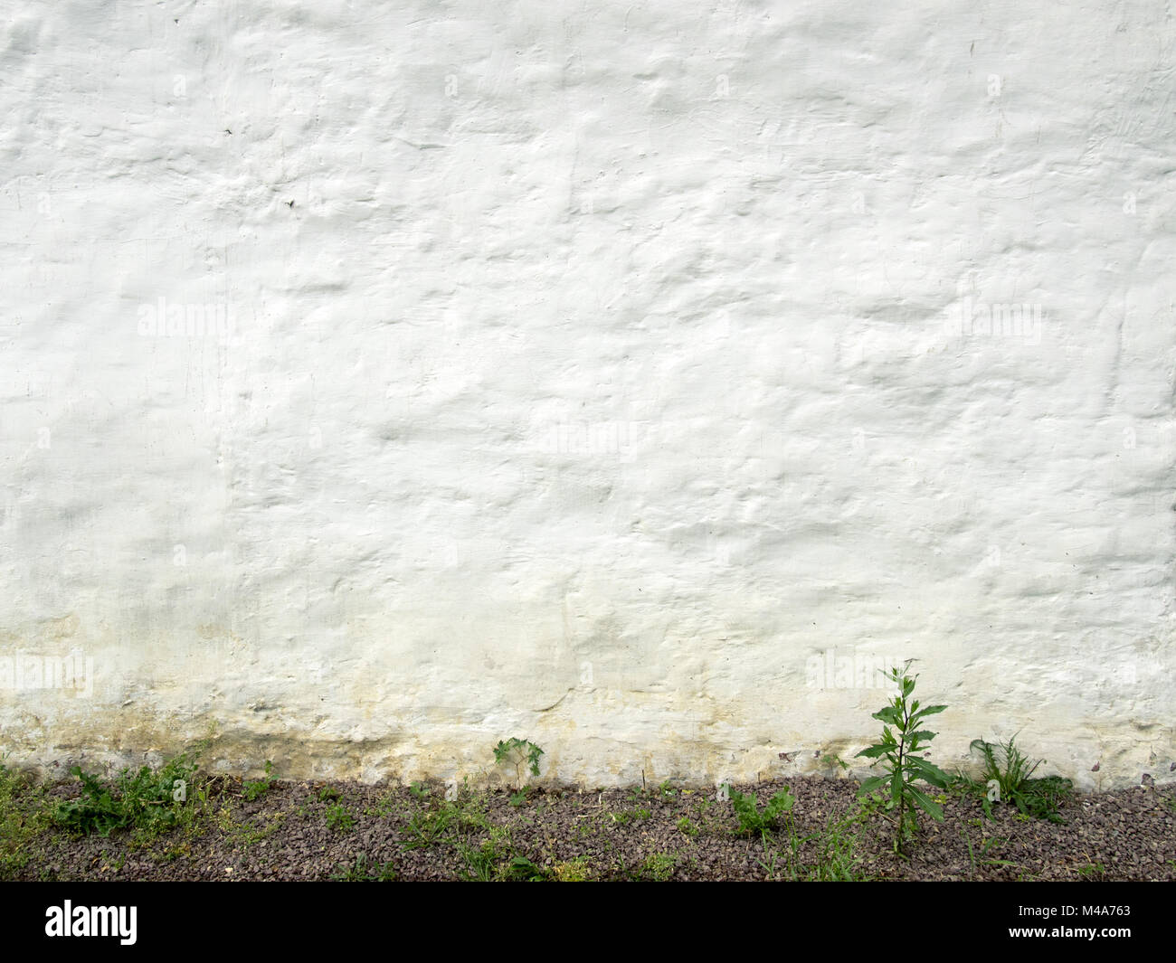 ancient white wall Stock Photo - Alamy