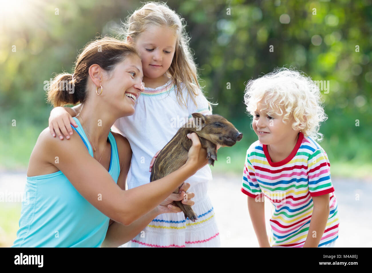 Kids play with farm animals. Child feeding domestic animal. Mother ...