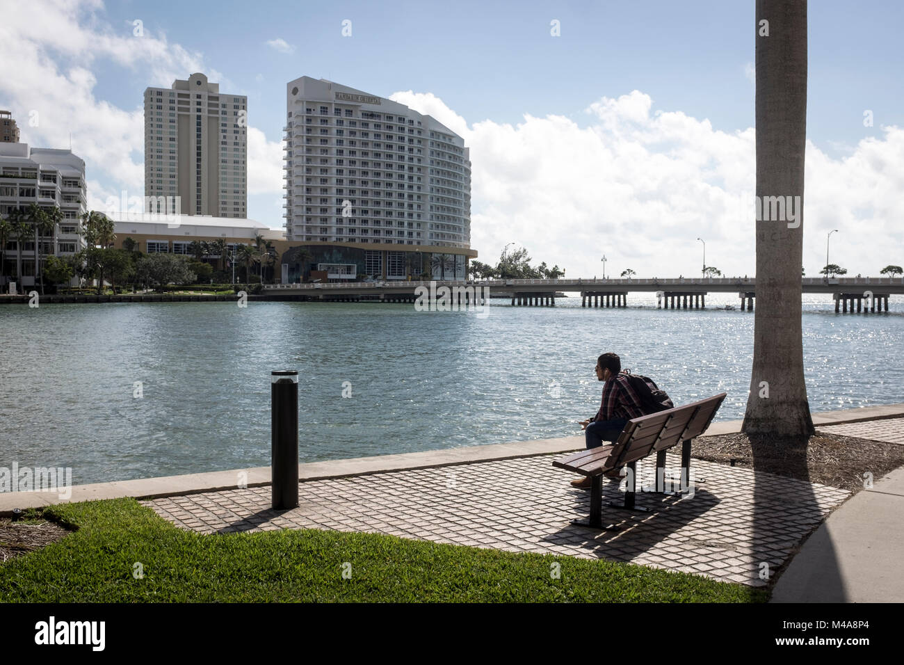 Man sits on a bench on the waterfront at Brickell, Miami, Florida, USA ...