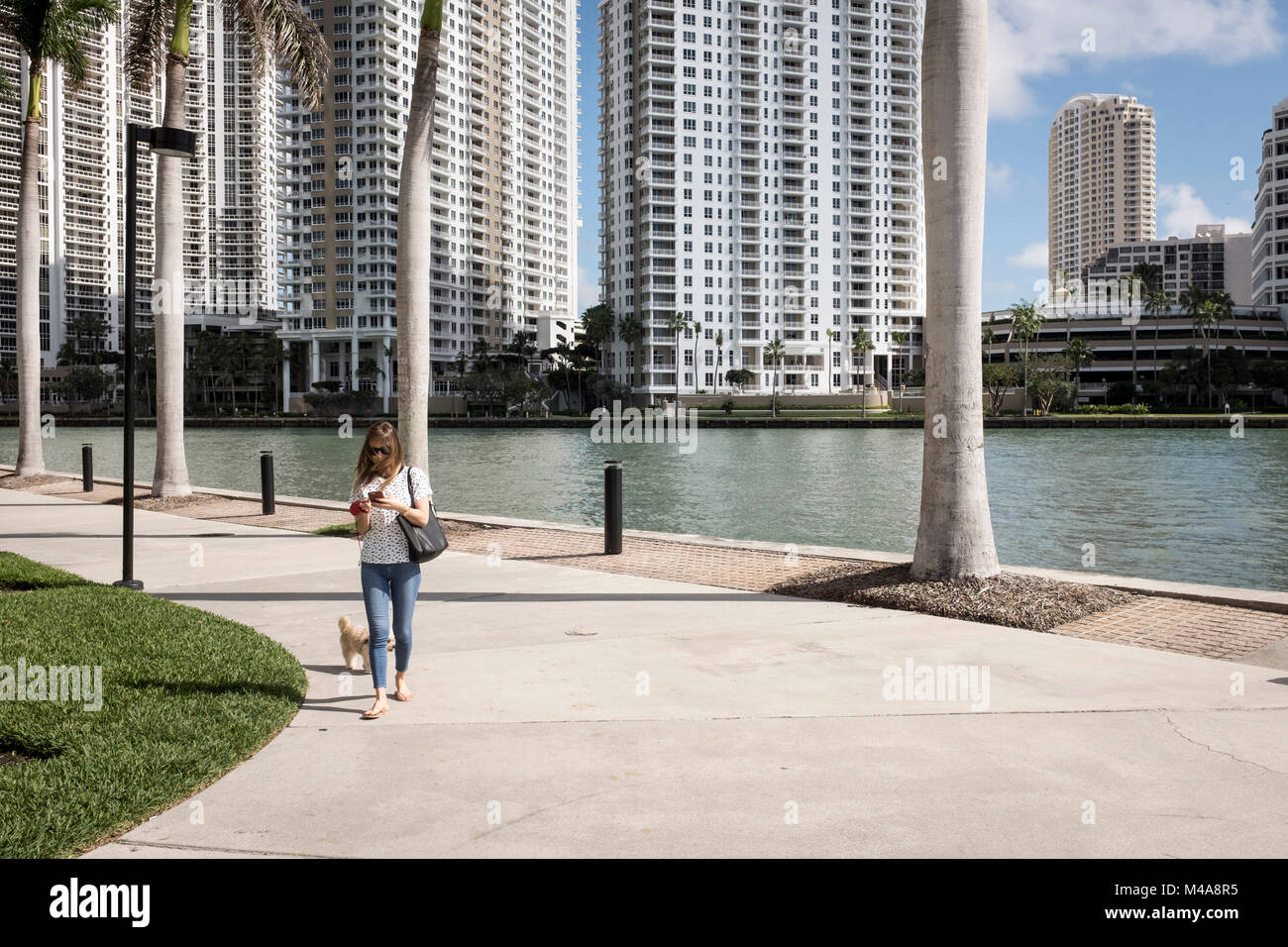 Woman walking dog and checking phone on the waterfront in downtown ...