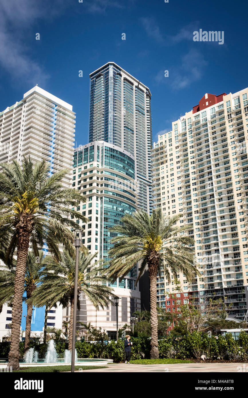 Woman walking dog in downtown Brickell, Miami, Florida Stock Photo - Alamy