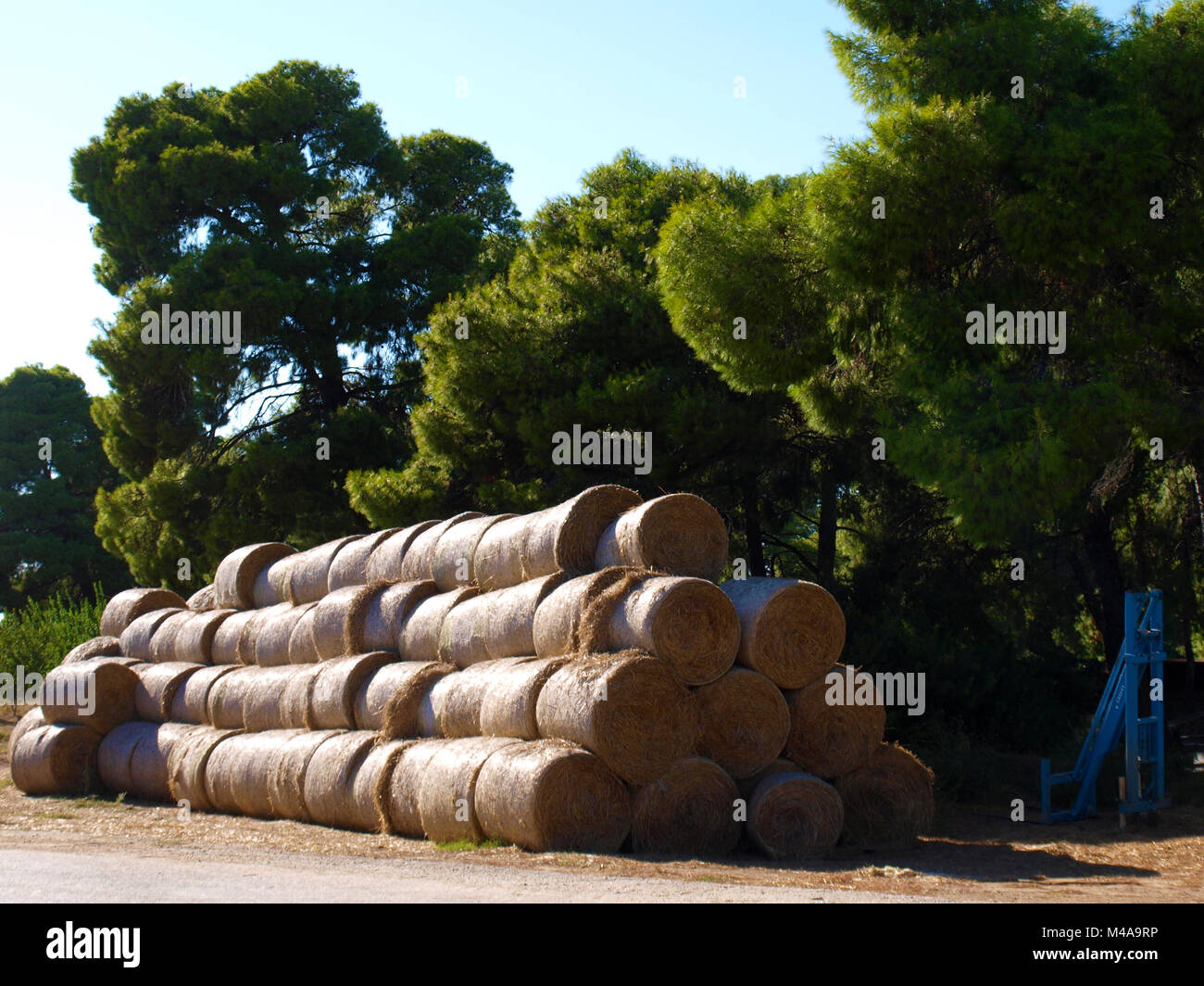 Bales wheat in farm land hi-res stock photography and images - Alamy