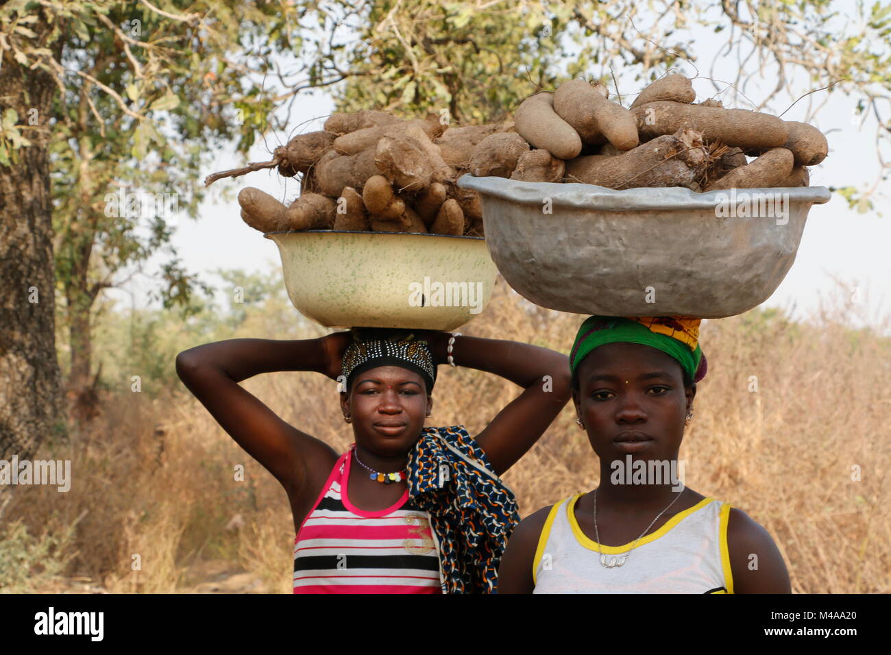 Women with a bowl of yam roots on their head Stock Photo - Alamy