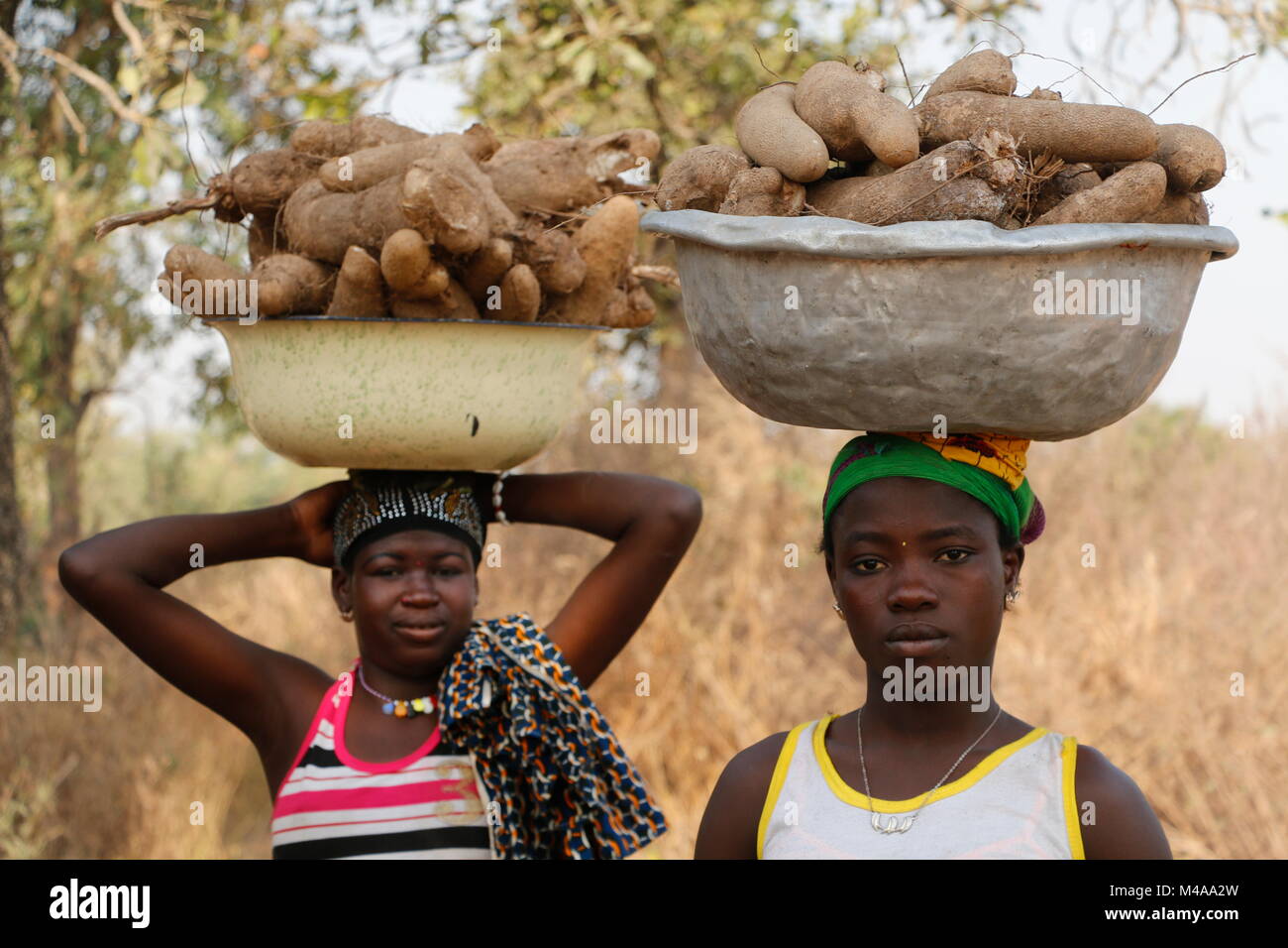 Women with a bowl of yam roots on their head Stock Photo - Alamy