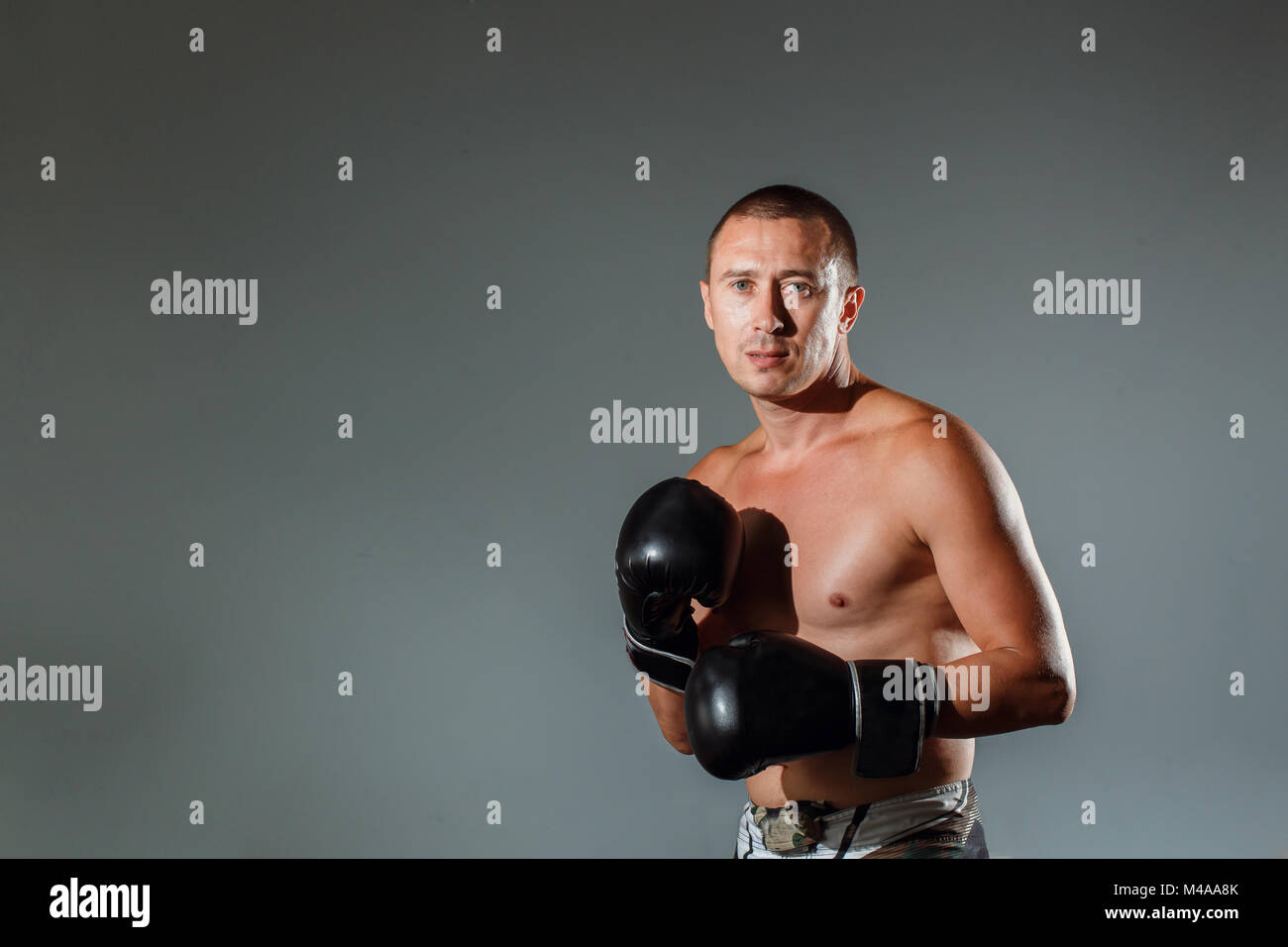 portrait of boxer in Boxing gloves on gray background Stock Photo - Alamy