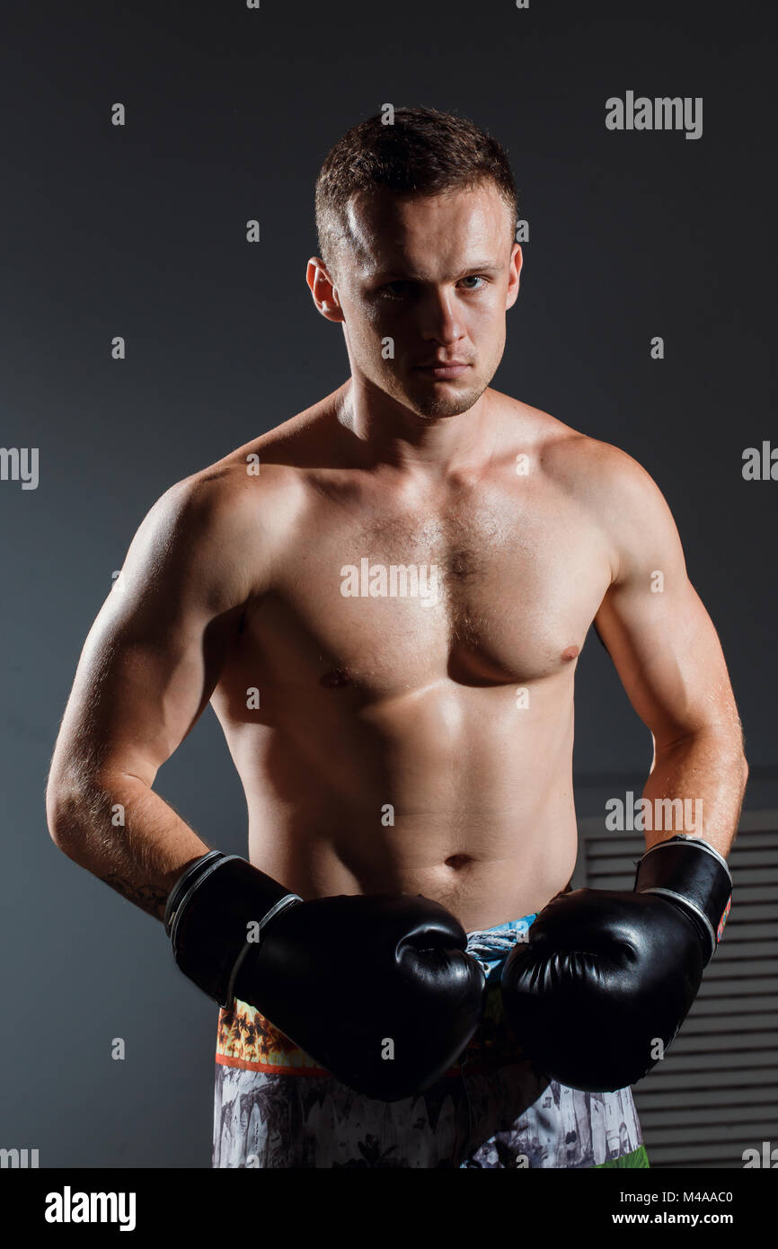 portrait of boxer in Boxing gloves on gray background Stock Photo - Alamy