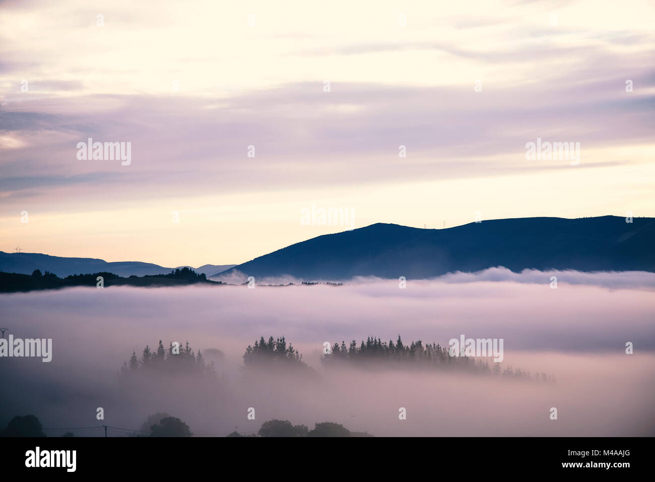 Nature at its finest Stock Photo - Alamy