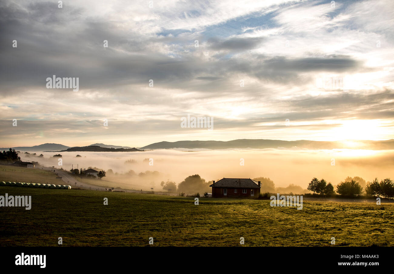 Nature at its finest Stock Photo - Alamy