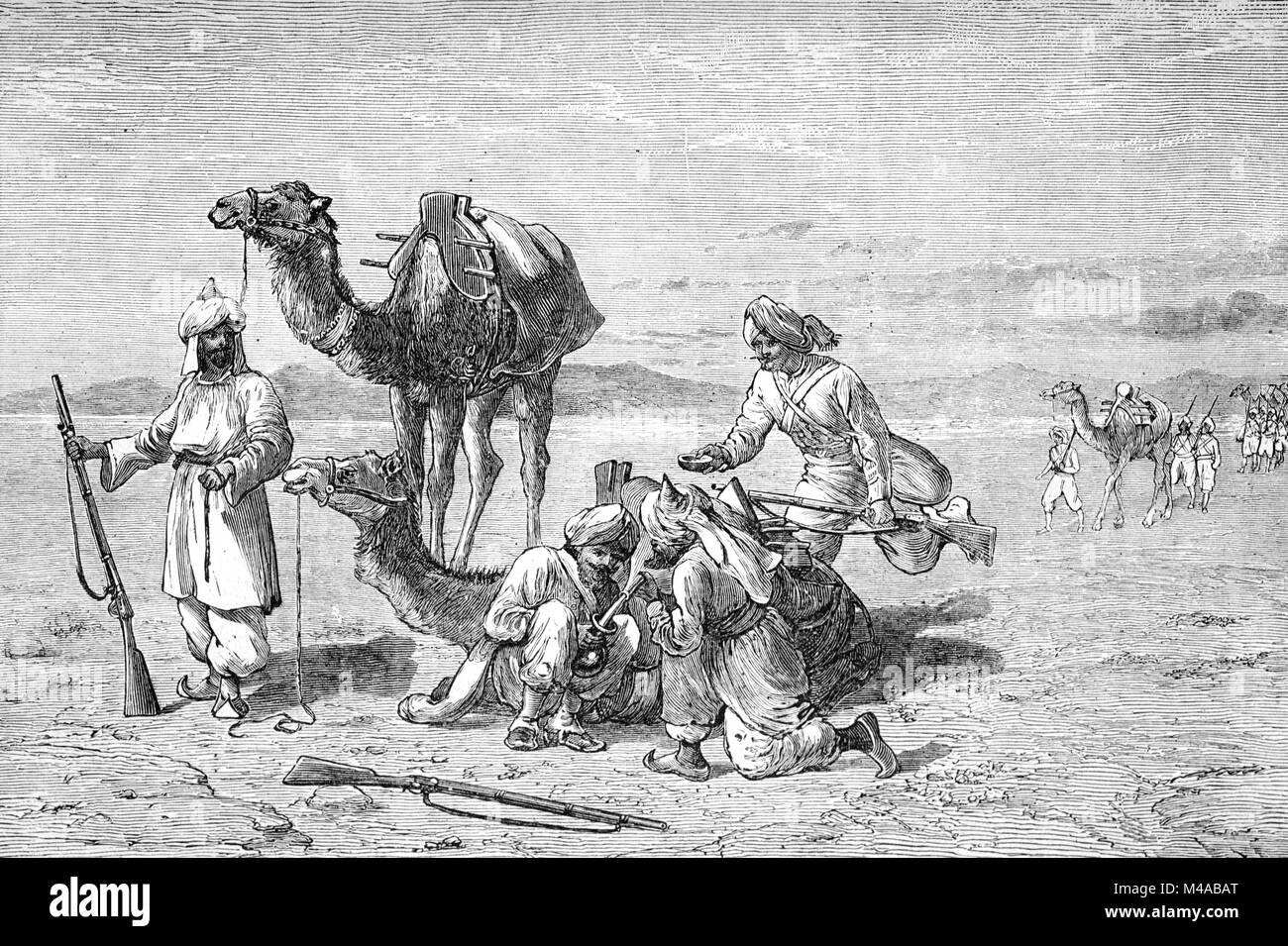 Desert Caravan Paint