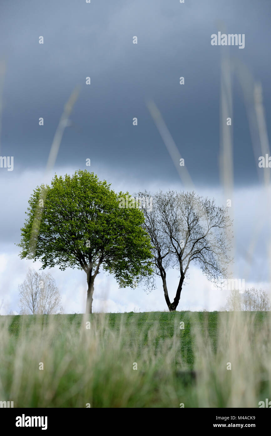 Stormy landscape hi-res stock photography and images - Alamy