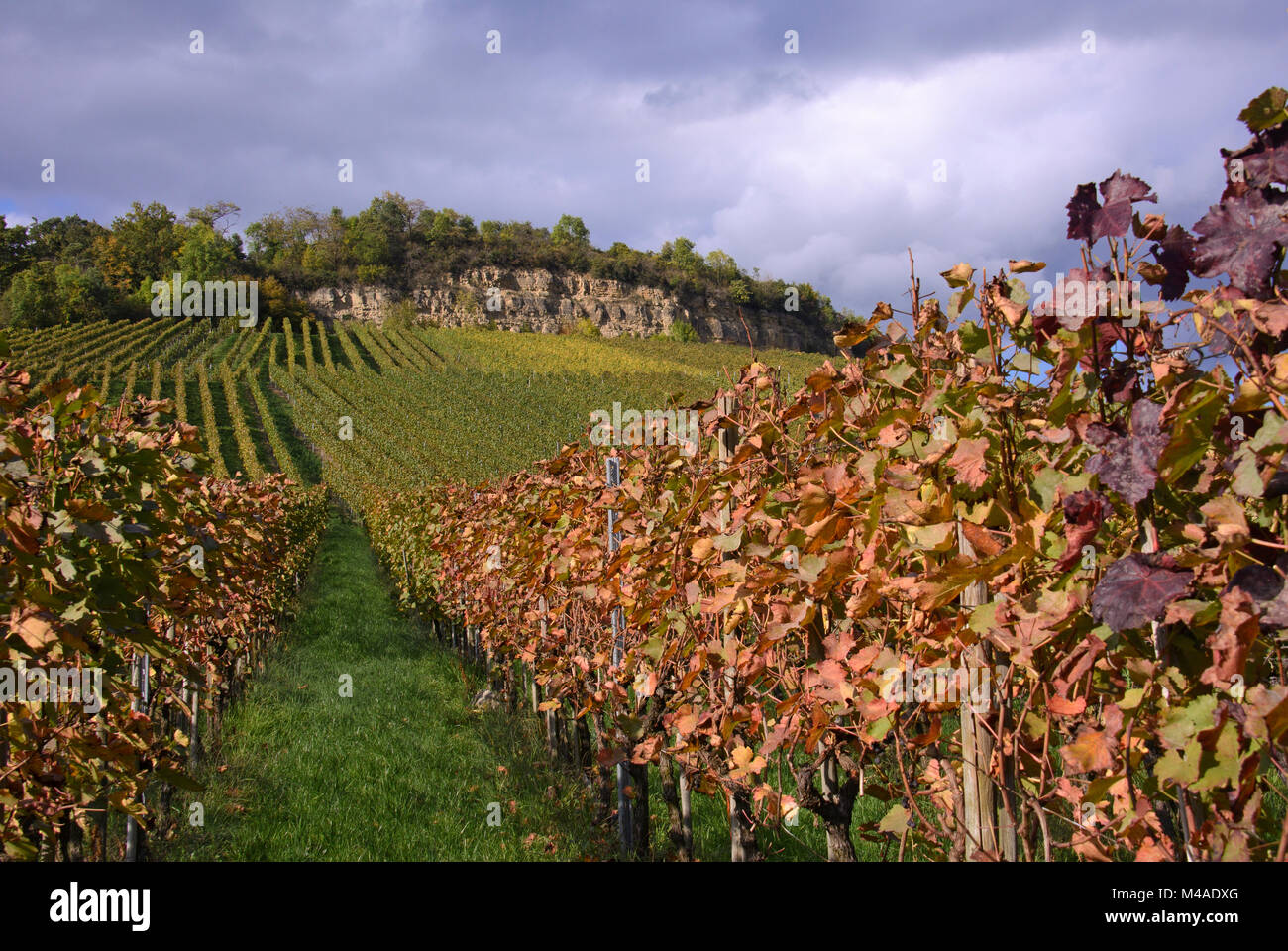 Besigheim hi-res stock photography and images - Alamy