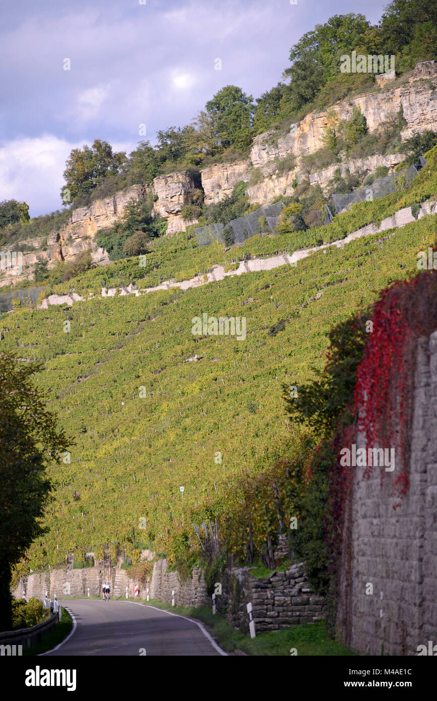 Felsengarten hi-res stock photography and images - Alamy