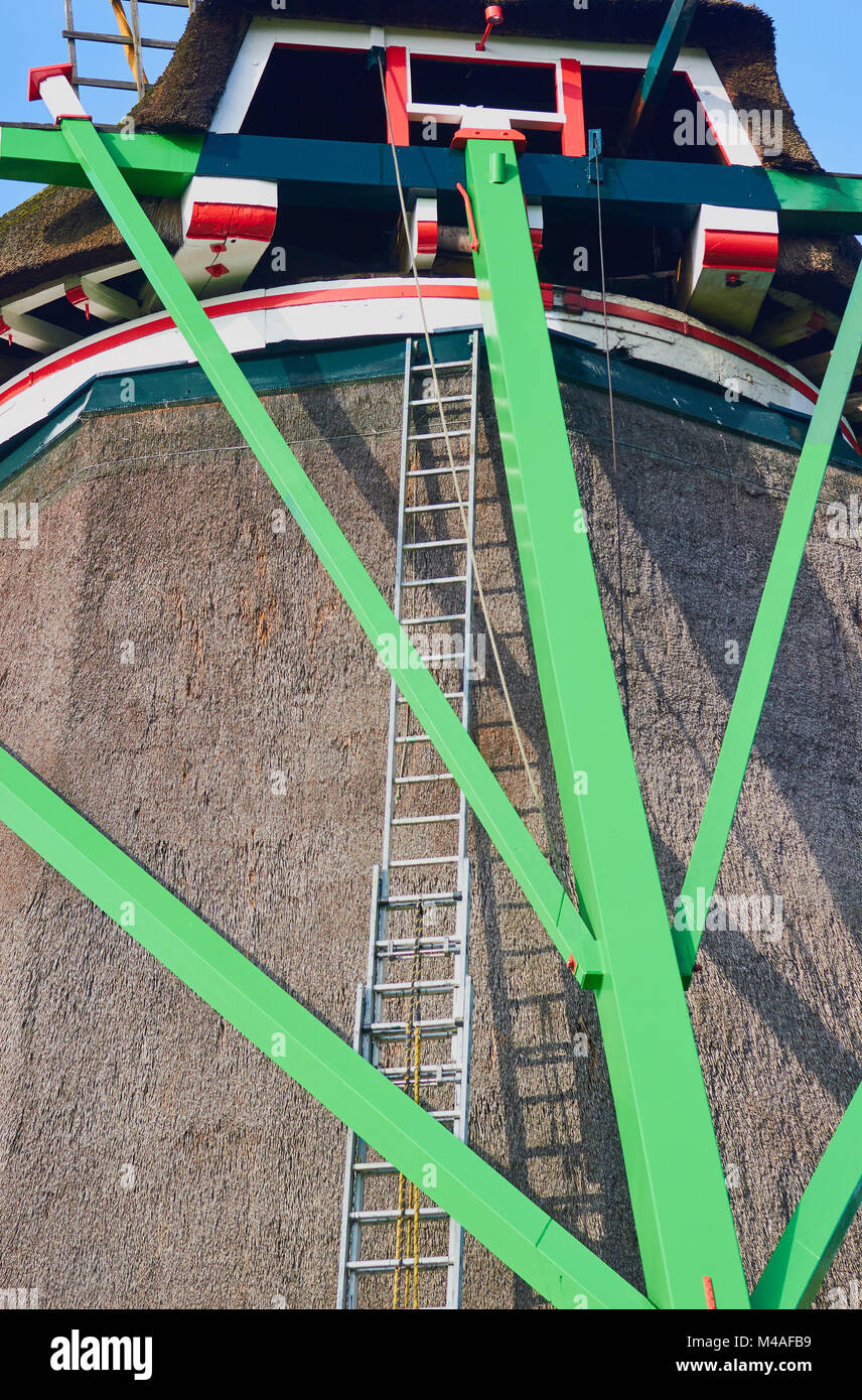 Ladder leaning against traditional windmill, Netherlands Stock Photo ...
