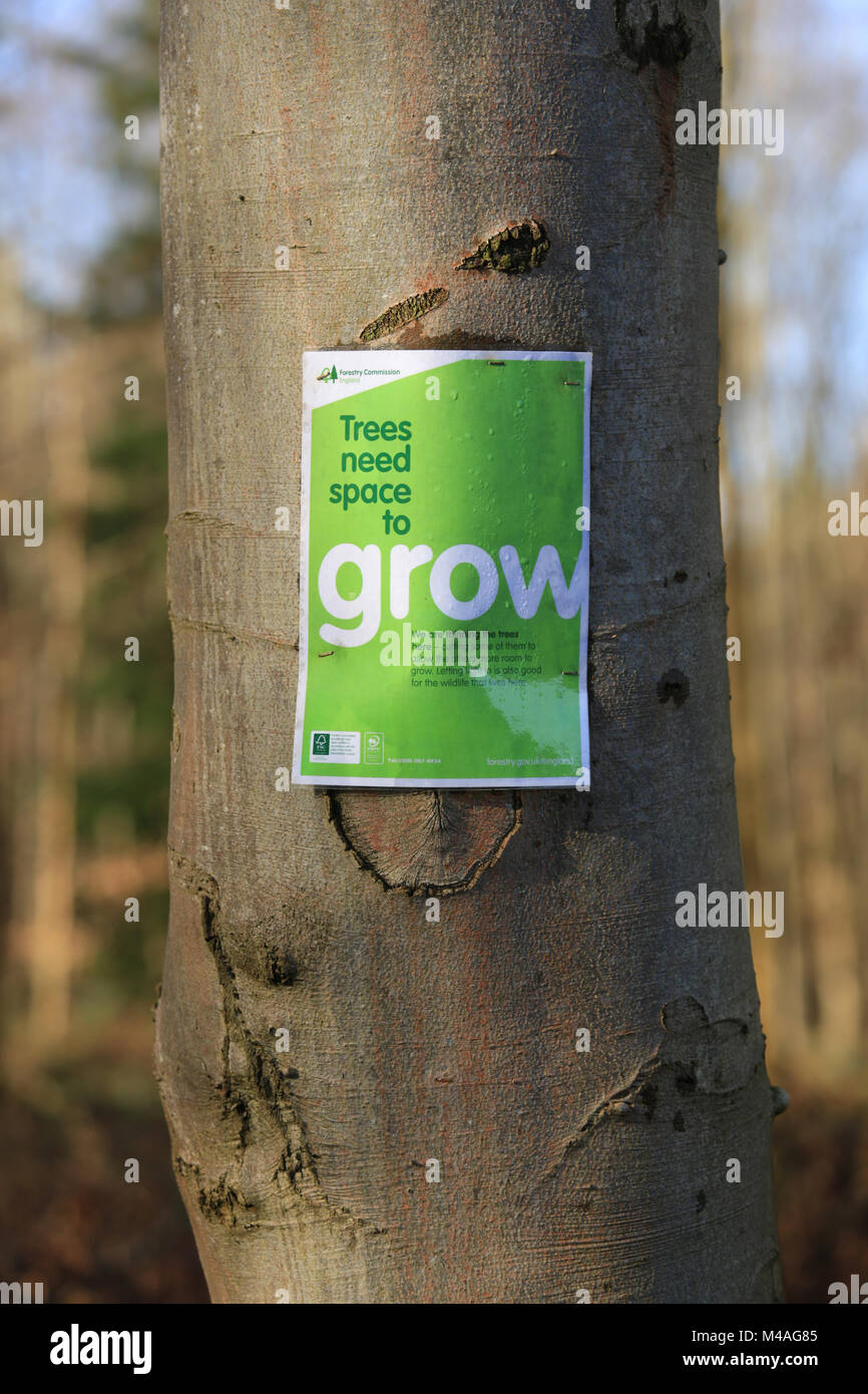 Forestry commission sign hi-res stock photography and images - Alamy