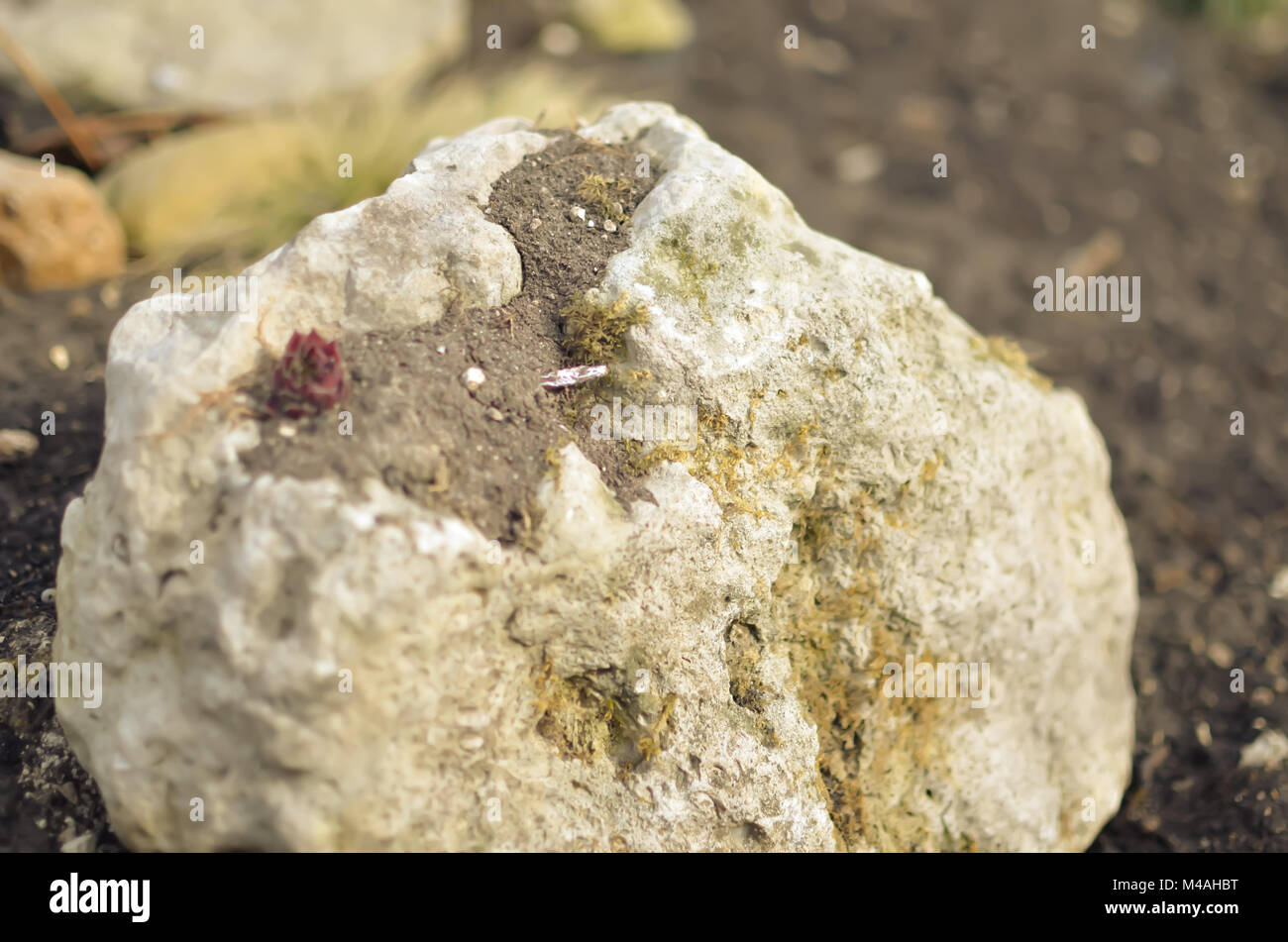 Big beautiful stone on the ground Stock Photo - Alamy