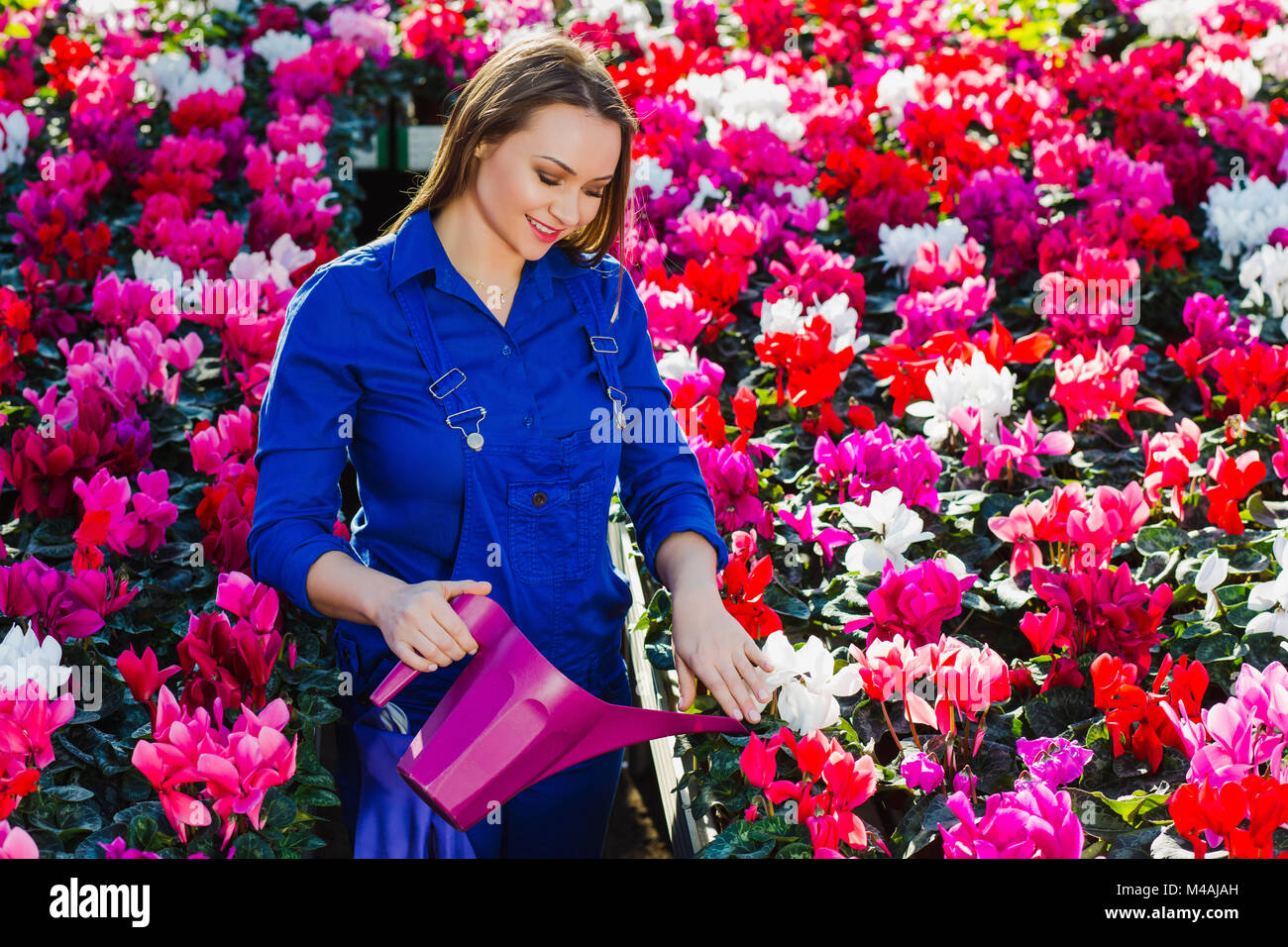 Woman gardener dressed in a working uniform watering flowers, smiling ...