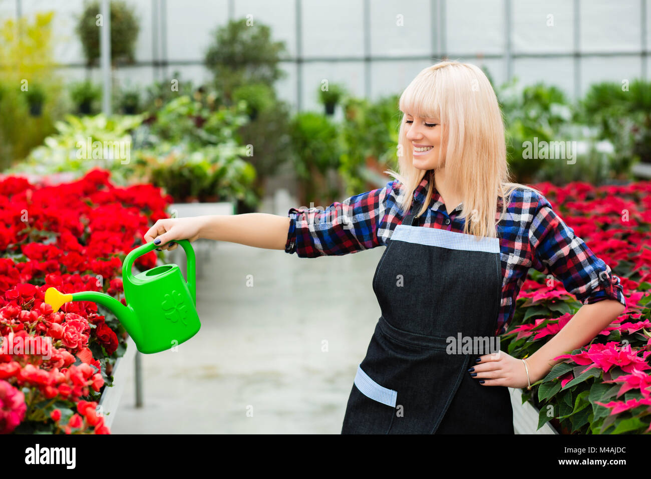 gardener watering flower plantation Stock Photo - Alamy