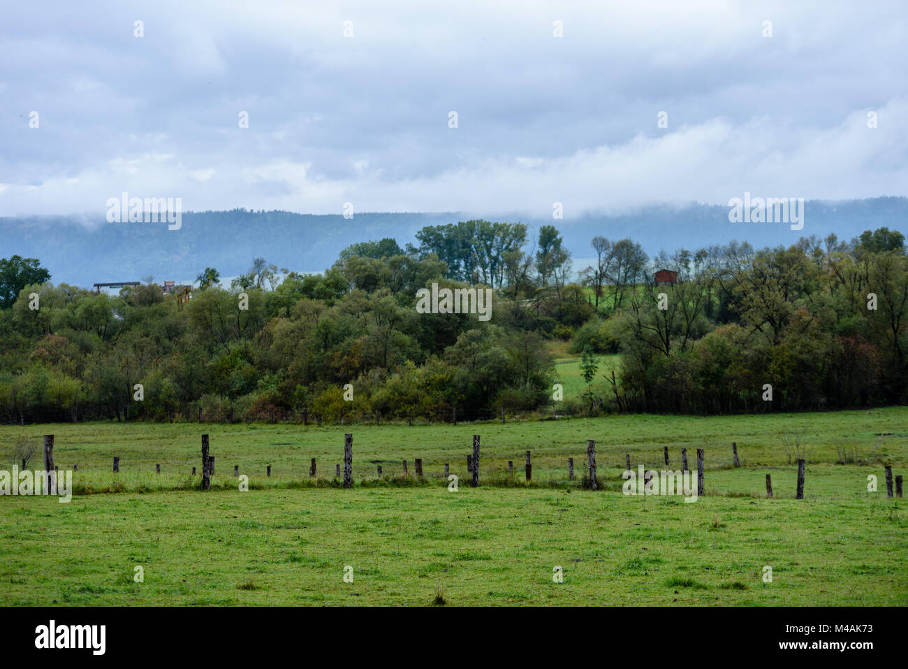 panoramic view of misty forest. far horizon Stock Photo - Alamy