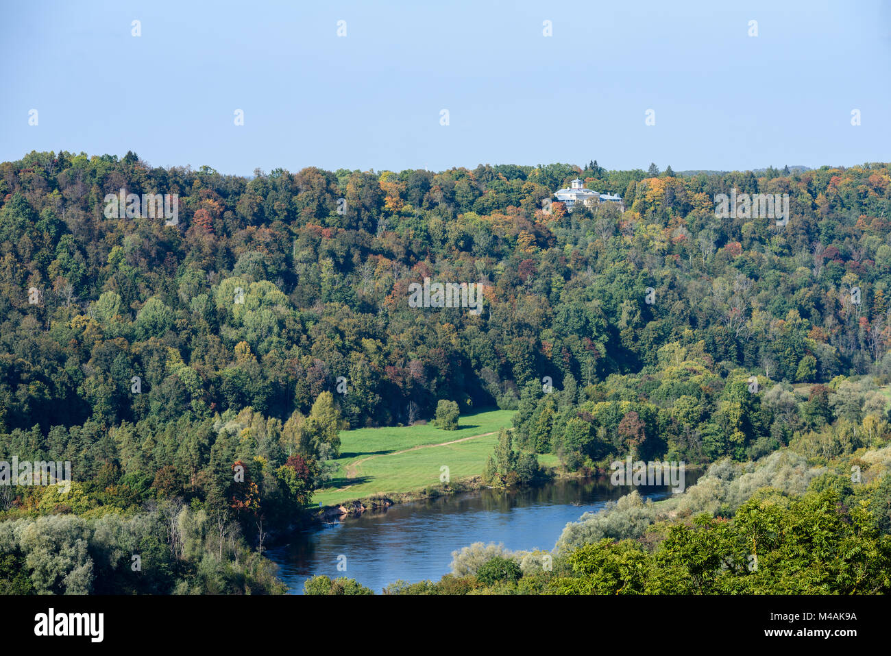 panoramic view of misty forest. far horizon Stock Photo - Alamy