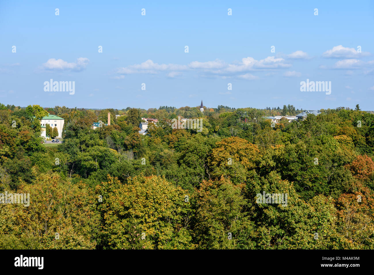 panoramic view of misty forest. far horizon Stock Photo - Alamy