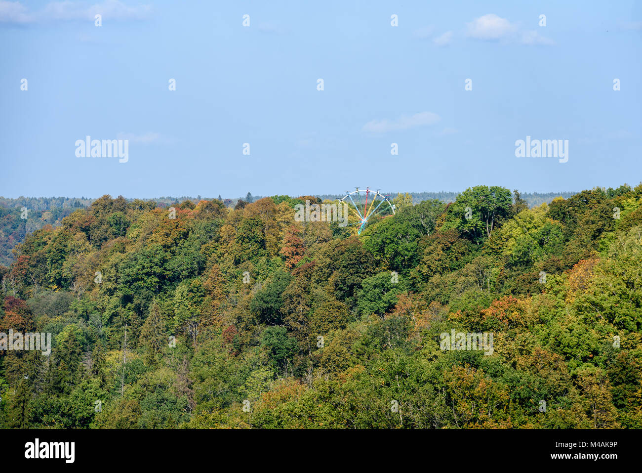 panoramic view of misty forest. far horizon Stock Photo - Alamy