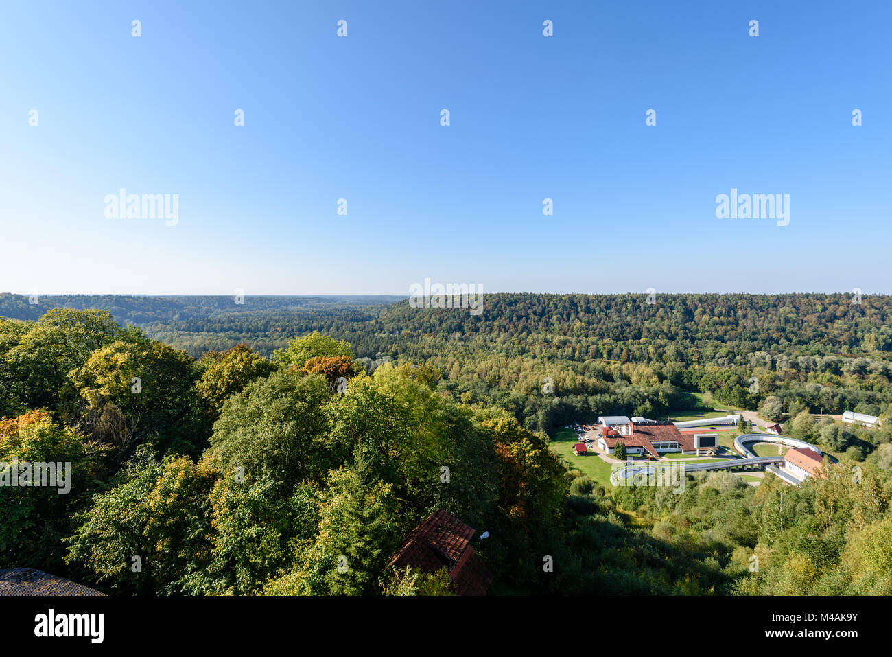 panoramic view of misty forest. far horizon Stock Photo - Alamy