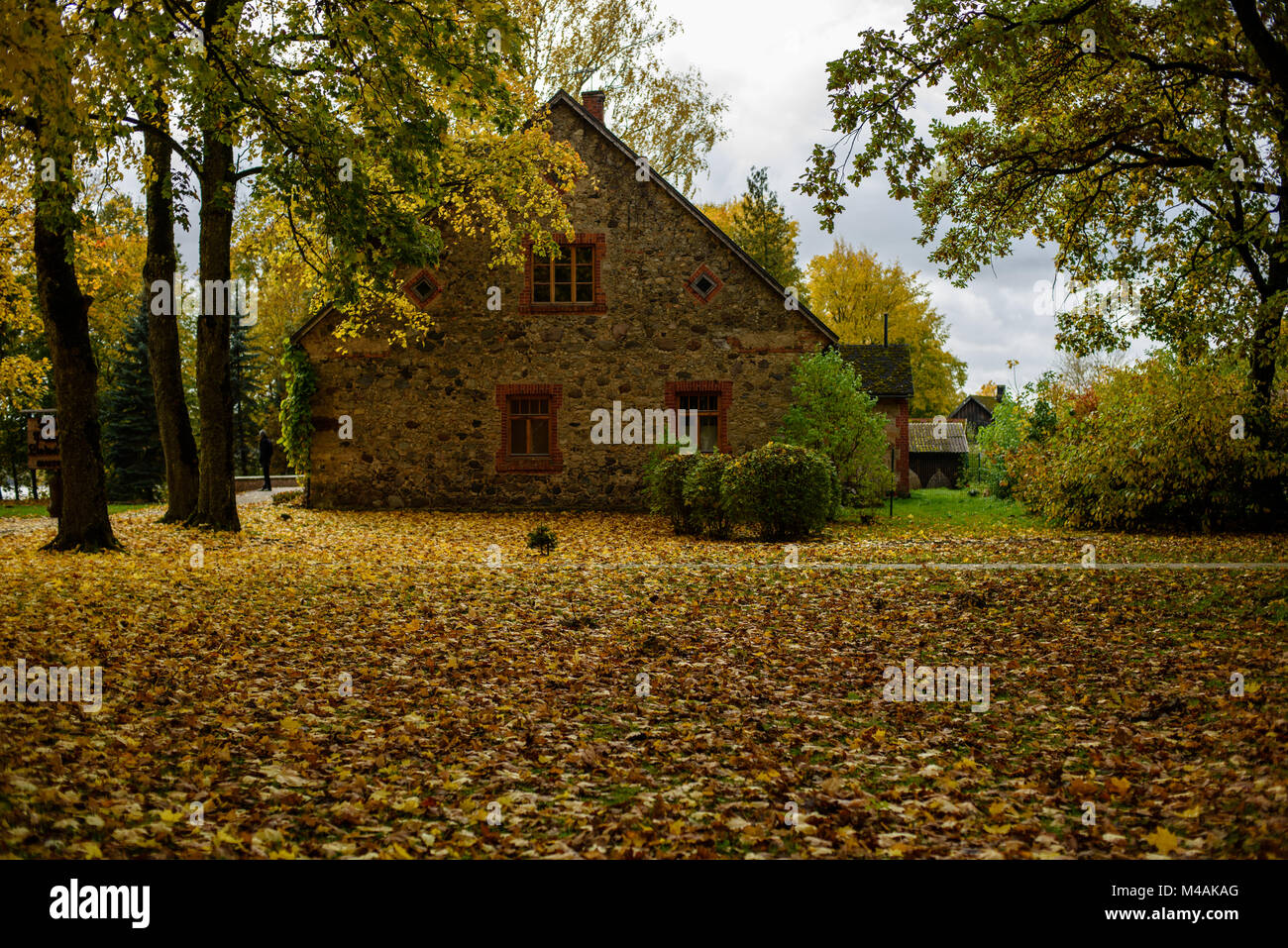 country house with oak trees in autumn colors Stock Photo - Alamy