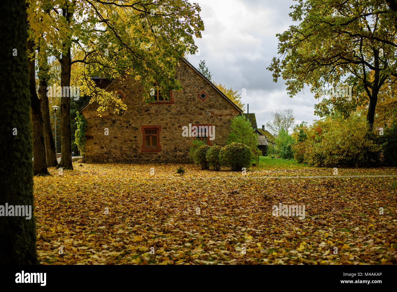 country house with oak trees in autumn colors Stock Photo - Alamy