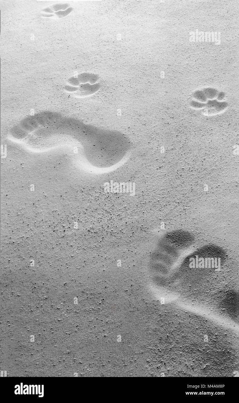 Man walking on way Black and White Stock Photos & Images - Alamy