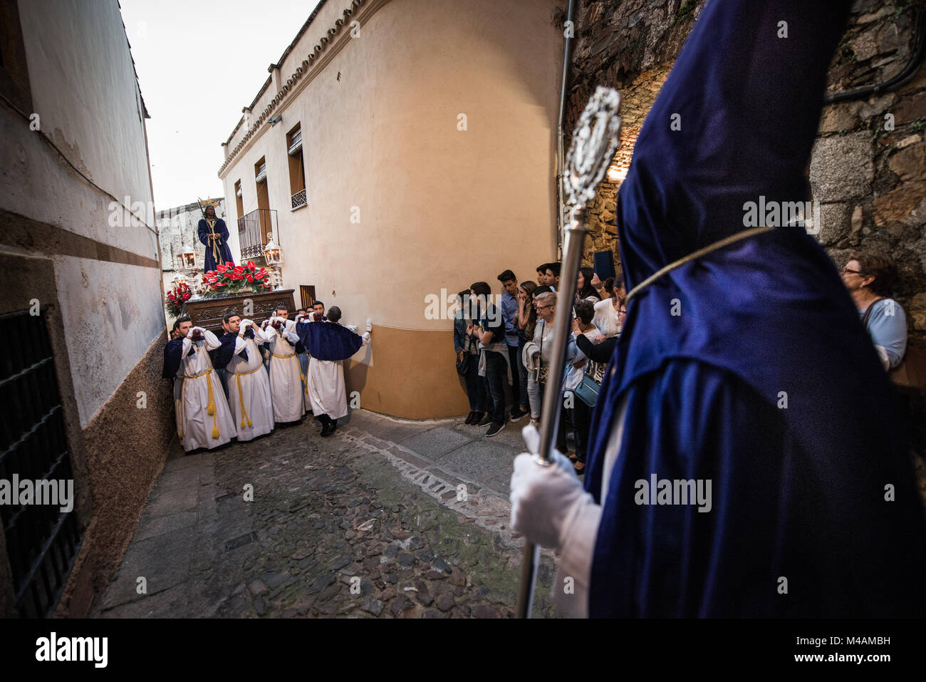 The Royal and Most Fervent Penitential Brotherhood, and The Palms ...