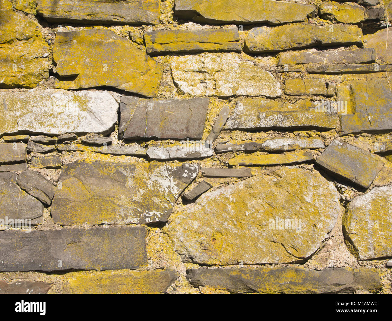 Partially restored stone walls of the monastery Hovedøya kloster on an ...
