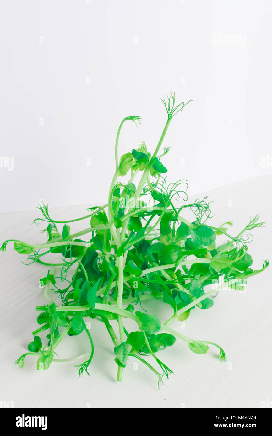 organic pea tendrils isolated in white background Stock Photo - Alamy