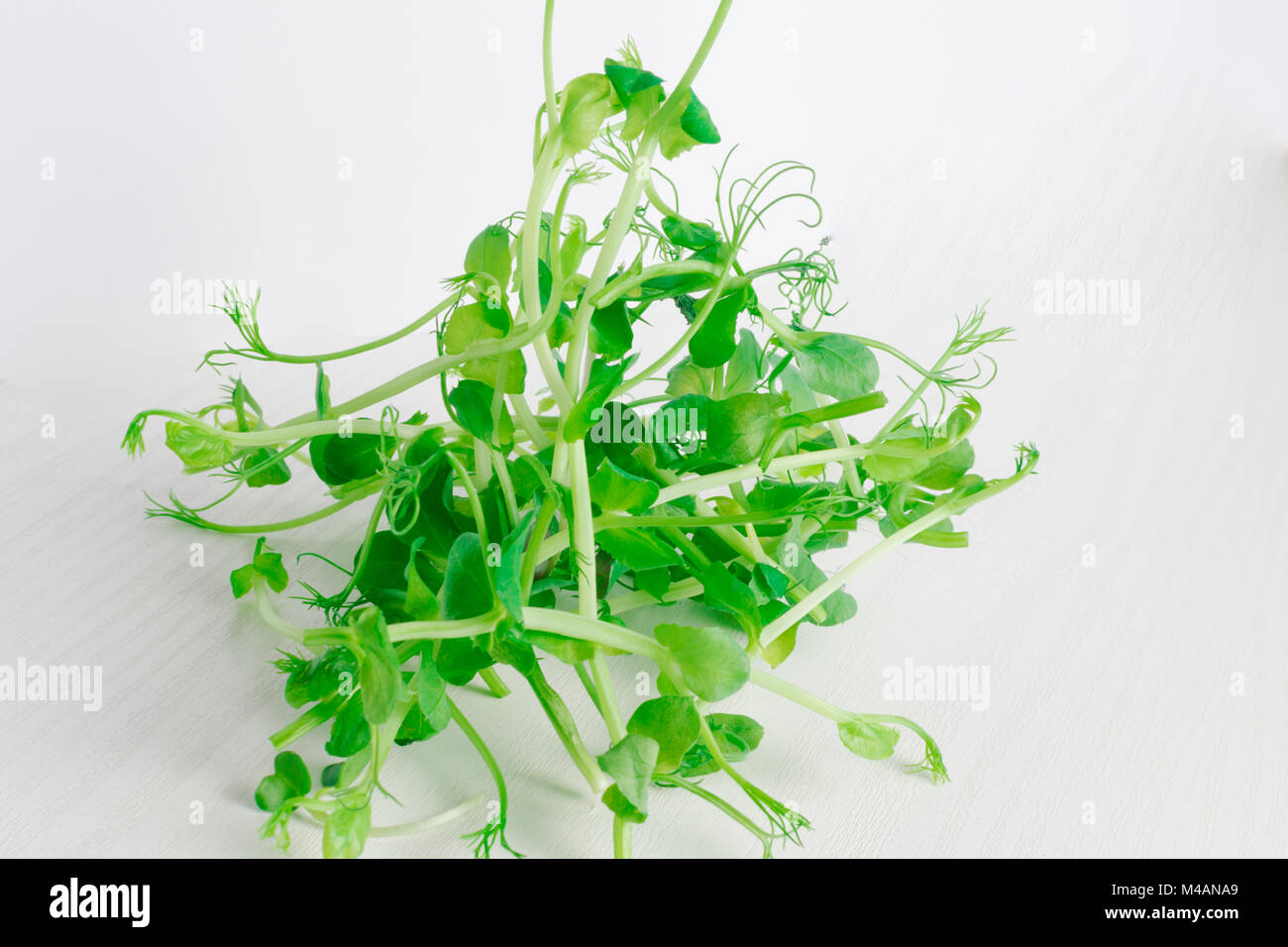 organic pea tendrils isolated in white background Stock Photo - Alamy