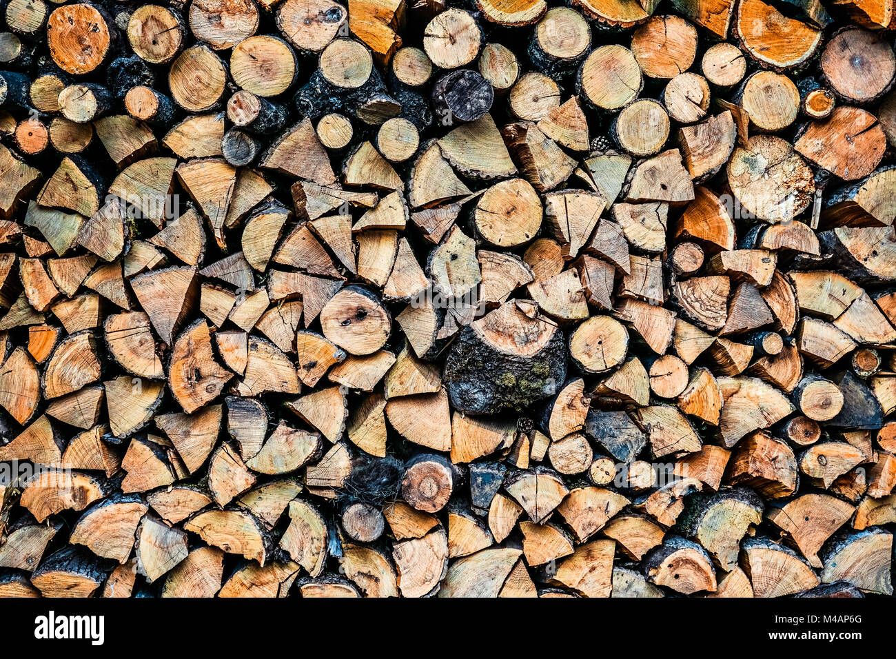 Big wall of stacked wood logs showing natural discoloration Stock Photo ...