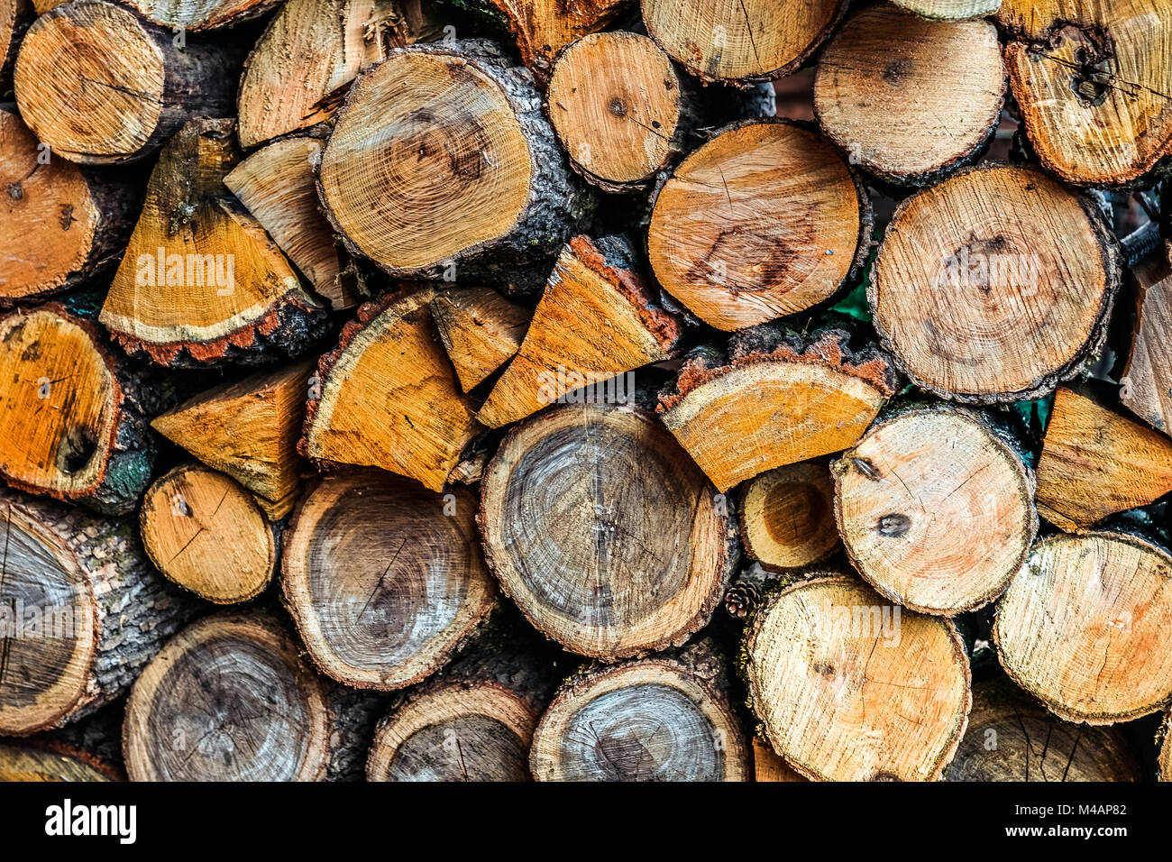 Stack cut logs showing hi-res stock photography and images - Alamy