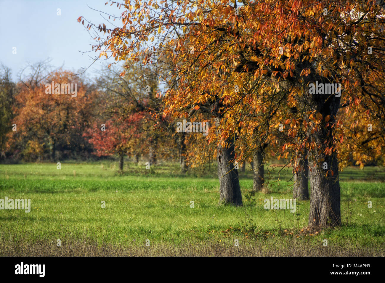 Eimeldingen hi-res stock photography and images - Alamy
