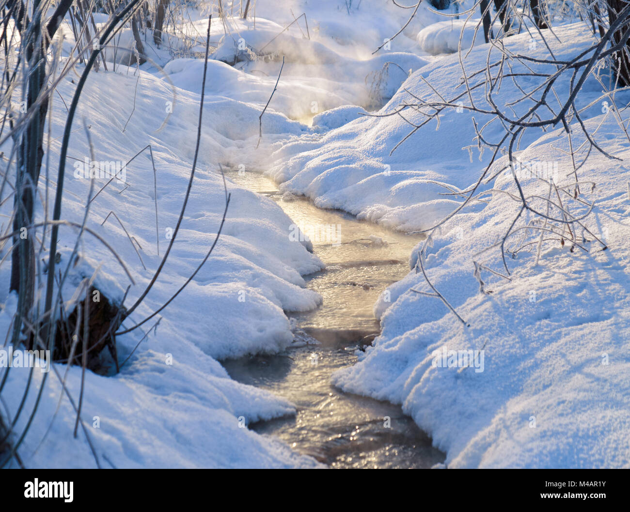 Small winter stream under snow and ice in winter season Stock Photo - Alamy